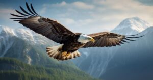 Eagles in the Bible and Their Spiritual Significance - Bible Boulevard