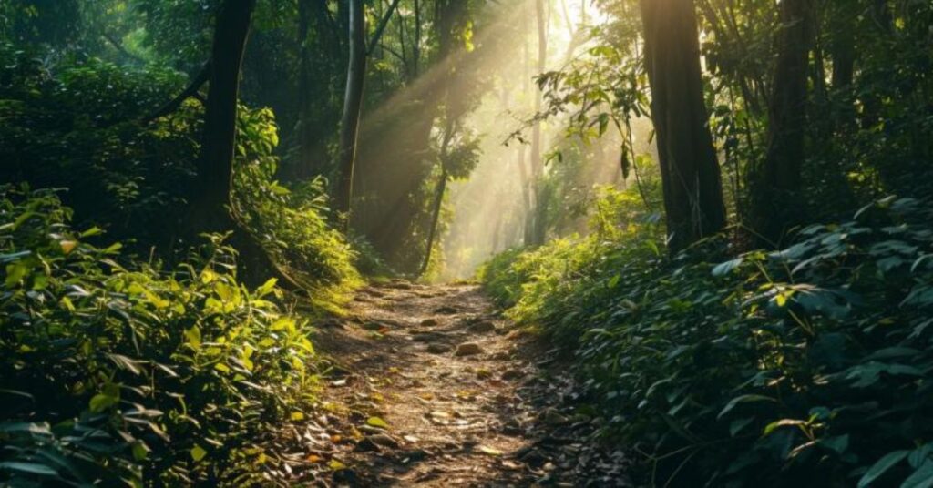 What Nature Teaches Us About God’s Creation - Bible Boulevard